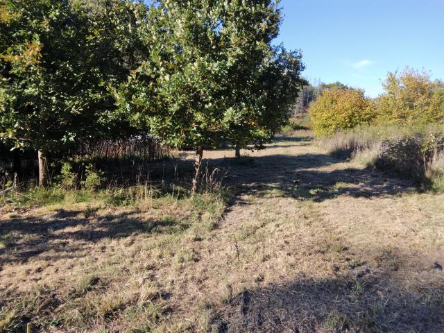Terrain situé en espaces verts Bastogne - Forêt à vendre