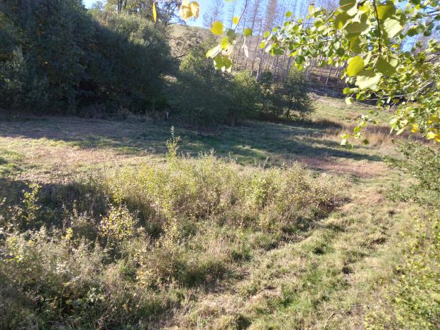 Terrain situé en espaces verts Bastogne - Forêt à vendre